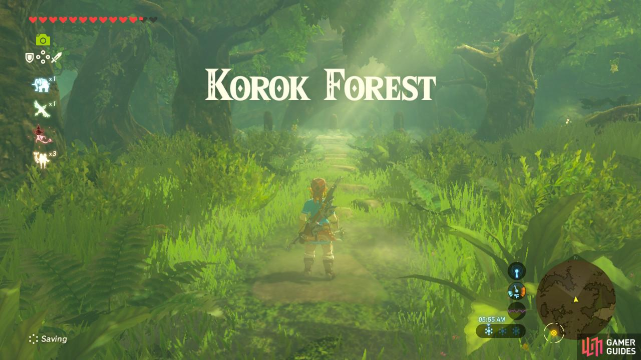 Unveiling the Secrets of Korok Forest: A Guide for Adventurers ...